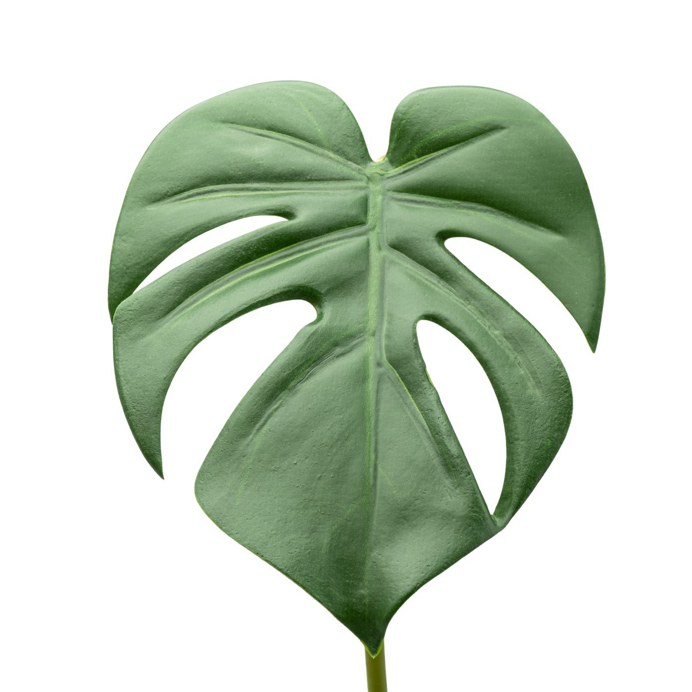 Monstera Leaf 20L" Assorted 6 Stem Bundle - Metro Element